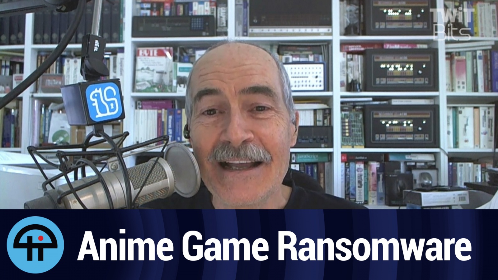 Anime Game Ransomware