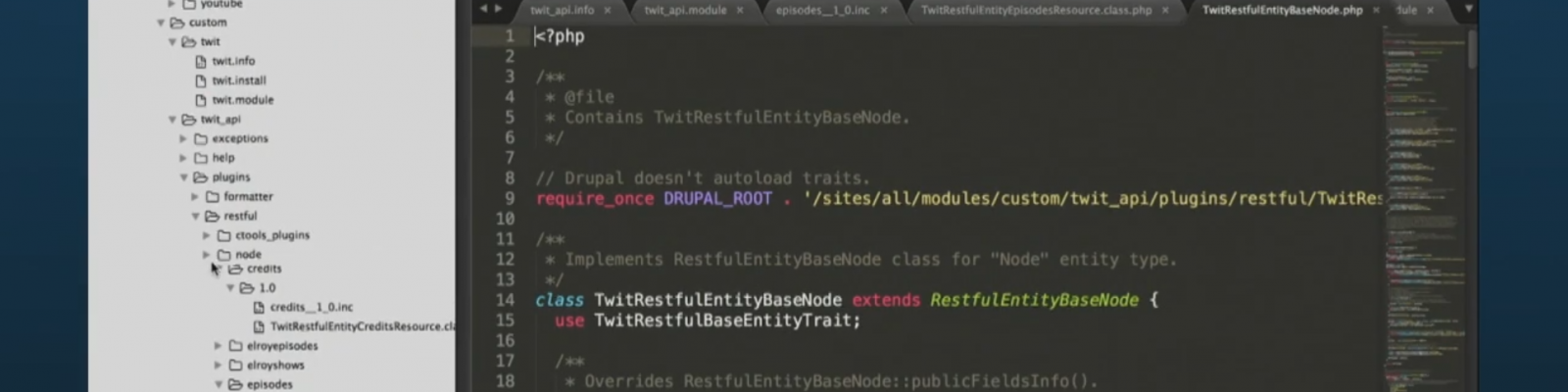 Developer Guidelines